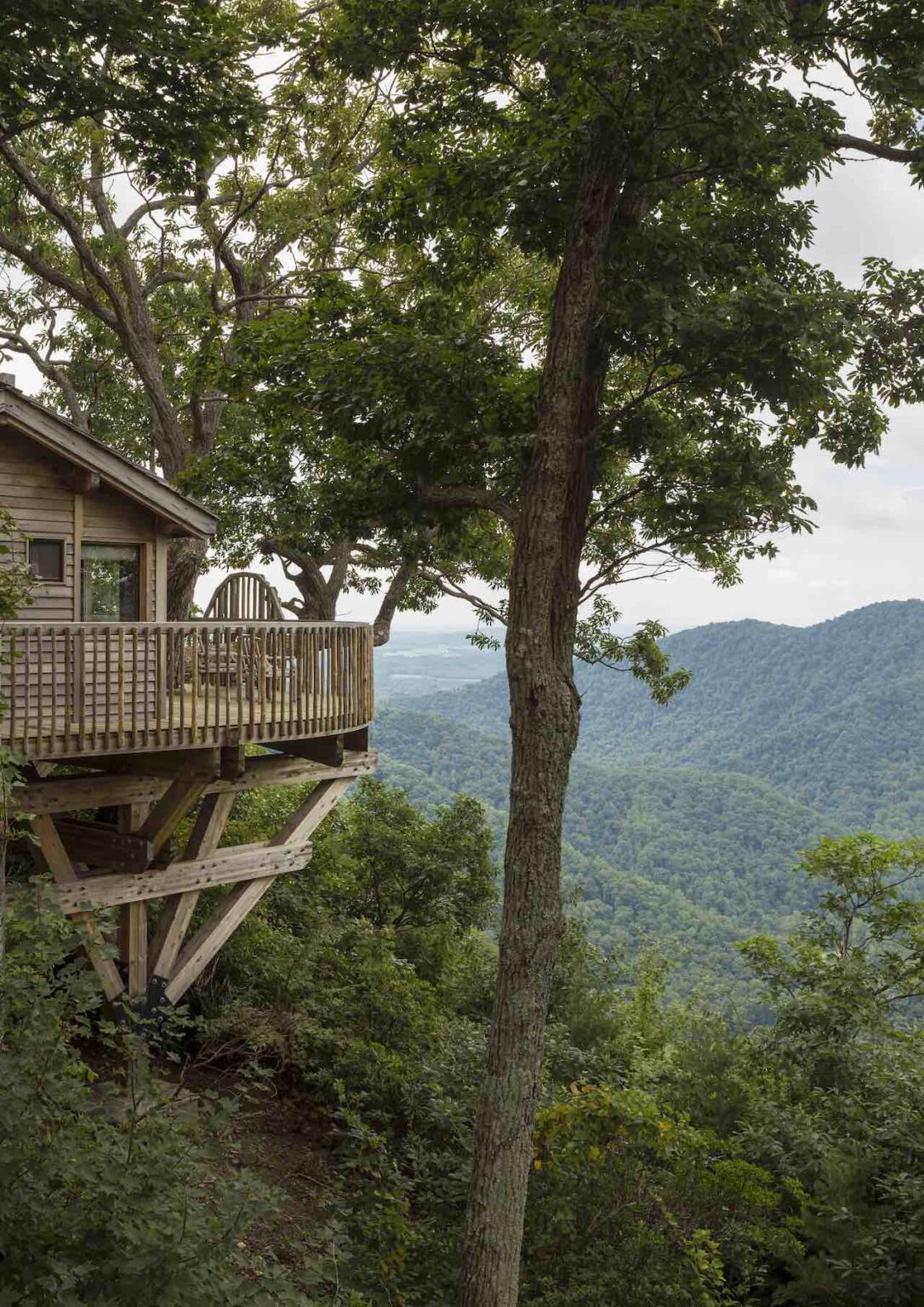 Discover 10 Incredible Treehouse Hotels In the US | Mr Hudson