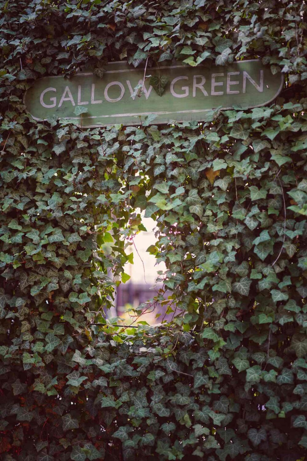 Rooftop Brunch NYC: The Best Rooftop Restaurants in New York