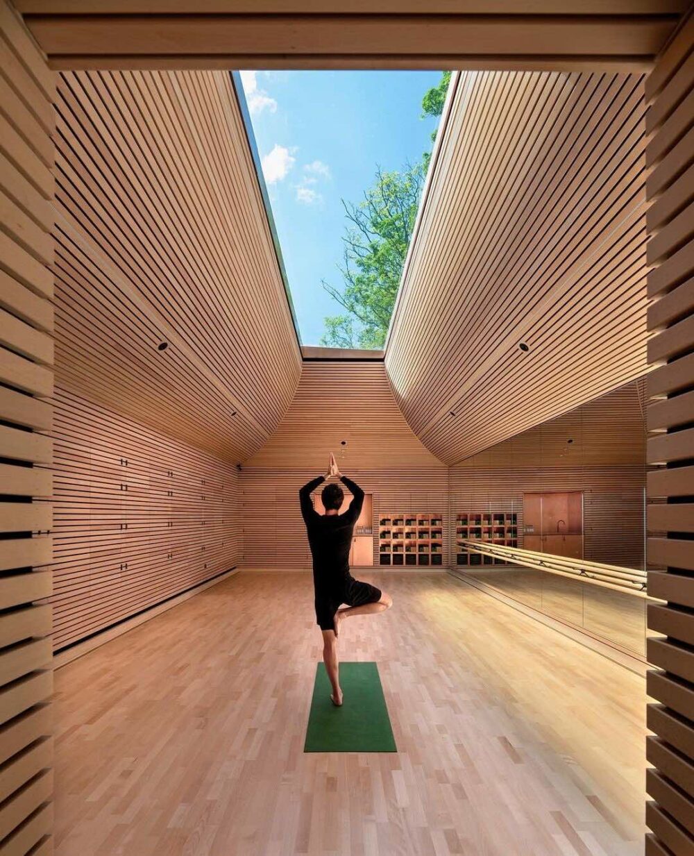 The Newt in Somerset: Where History, Nature and Luxury Meet